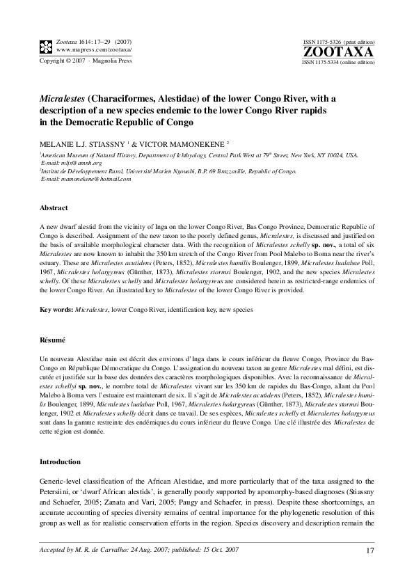 (PDF) Micralestes (Characiformes, Alestidae) of the lower Congo River ...
