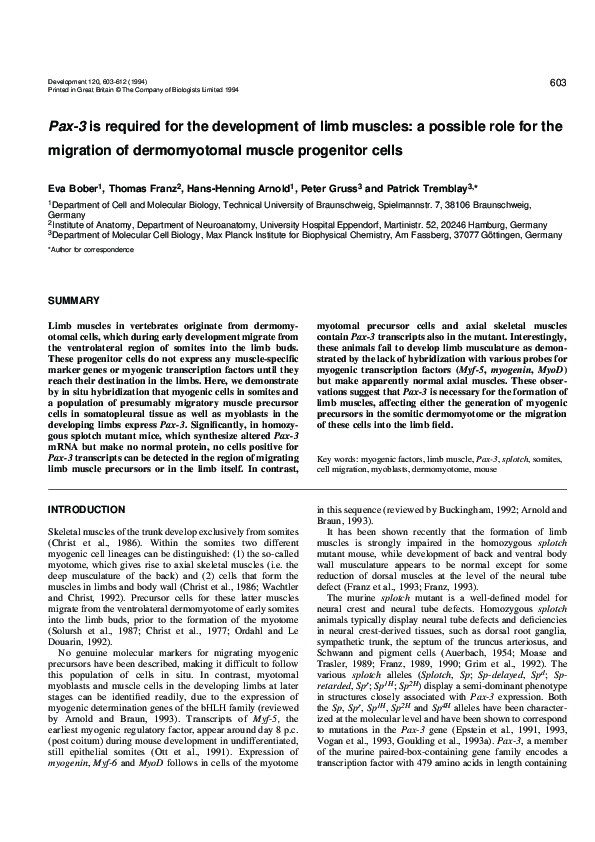 (PDF) Pax-3 is required for the development of limb muscles: a possible ...