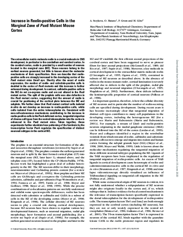 (PDF) Increase in Reelin-positive Cells in the Marginal Zone of Pax6 ...