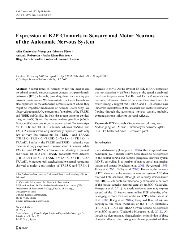 (PDF) Expression of K2P Channels in Sensory and Motor Neurons of the Autonomic Nervous System