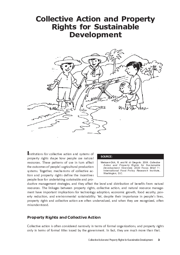 (PDF) Collective action and property rights for sustainable development