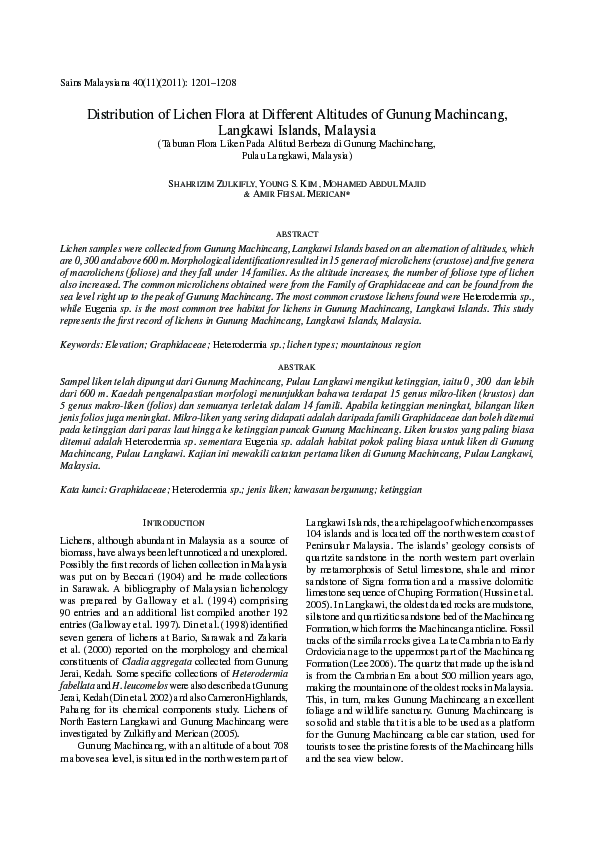 (PDF) Distribution of Lichen Flora at Different Altitudes of Gunung ...