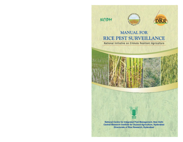 (PDF) Manual for Rice Pest Surveillance