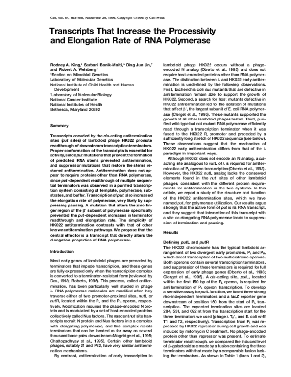 (PDF) Transcripts That Increase the Processivity and Elongation Rate of ...