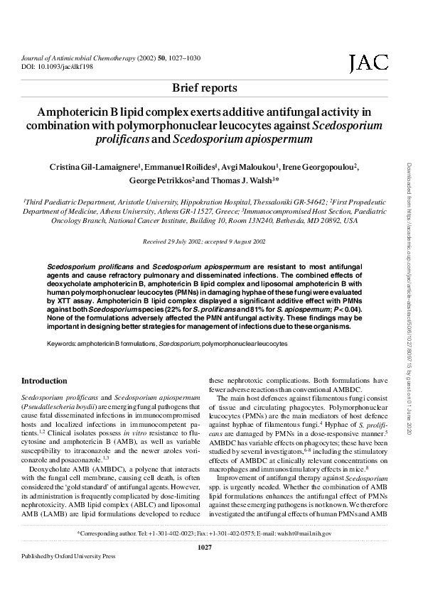 (PDF) Amphotericin B lipid complex exerts additive antifungal activity ...