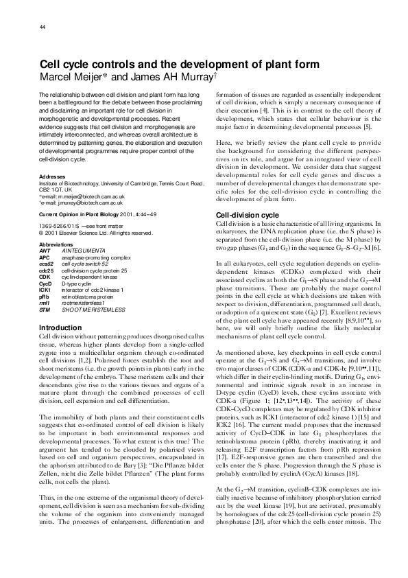 (PDF) Cell cycle controls and the development of plant form
