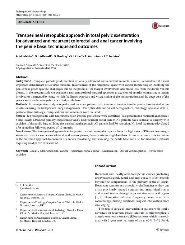 (PDF) Transperineal retropubic approach in total pelvic exenteration ...
