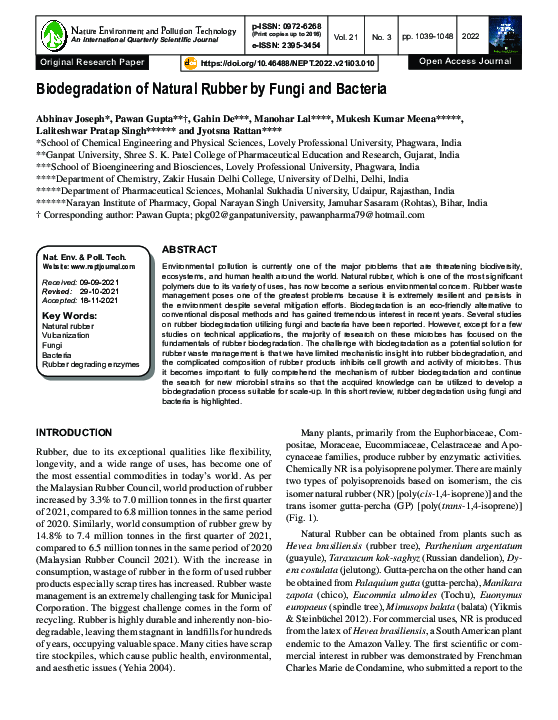 (PDF) Biodegradation of Natural Rubber by Fungi and Bacteria
