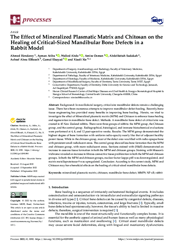 (PDF) The Effect of Mineralized Plasmatic Matrix and Chitosan on the ...