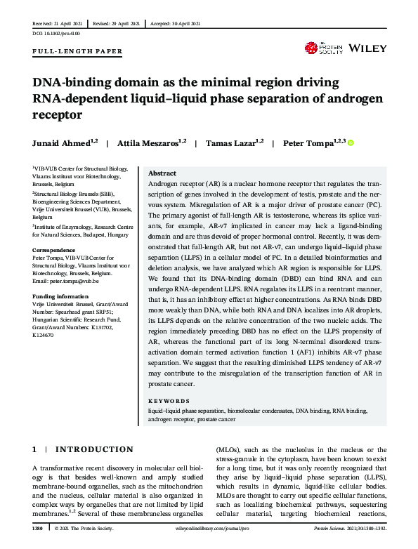 (PDF) DNA‐binding domain as the minimal region driving RNA‐dependent ...
