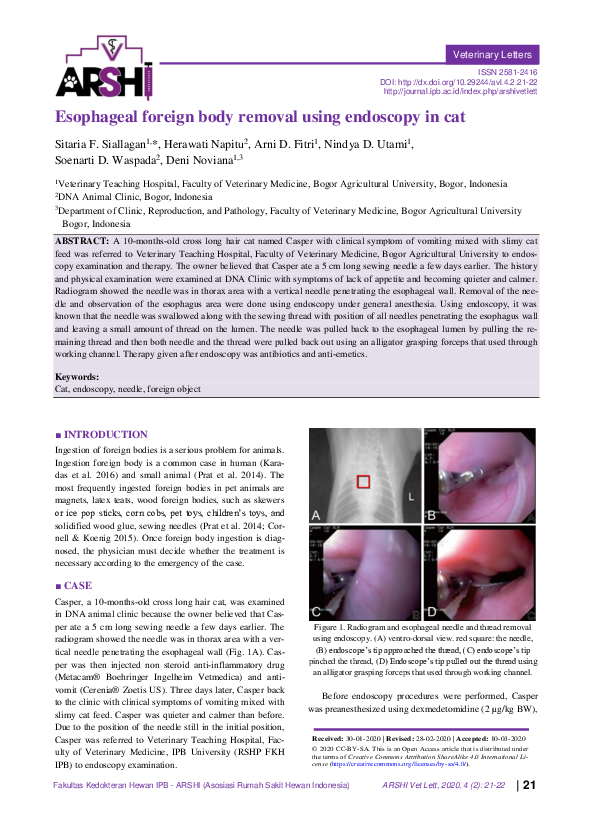(PDF) Esophageal foreign body removal using endoscopy in cat