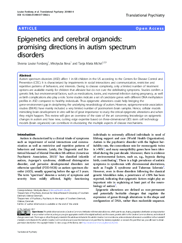 (PDF) Epigenetics and cerebral organoids: promising directions in ...