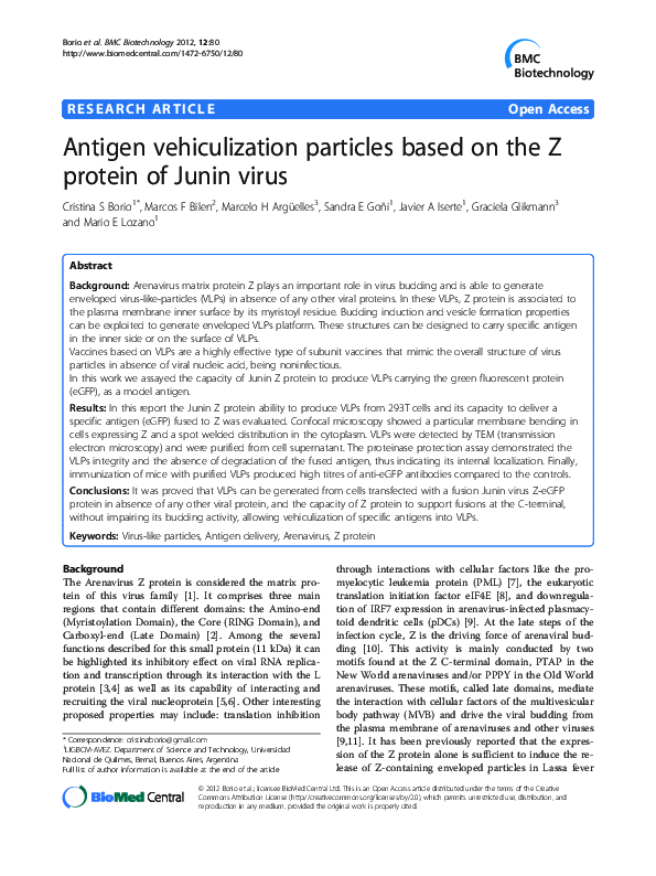 (PDF) Antigen vehiculization particles based on the Z protein of Junin ...