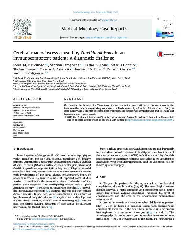 (PDF) Cerebral macroabscess caused by Candida albicans in an ...