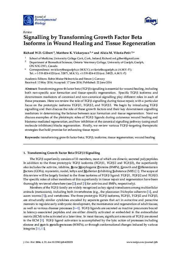 (PDF) Signalling by Transforming Growth Factor Beta Isoforms in Wound Healing and Tissue ...