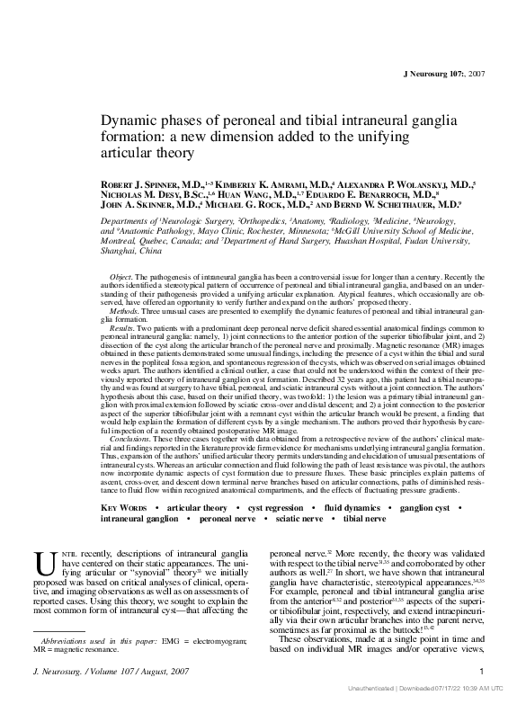 (PDF) Dynamic phases of peroneal and tibial intraneural ganglia formation: a new dimension added ...