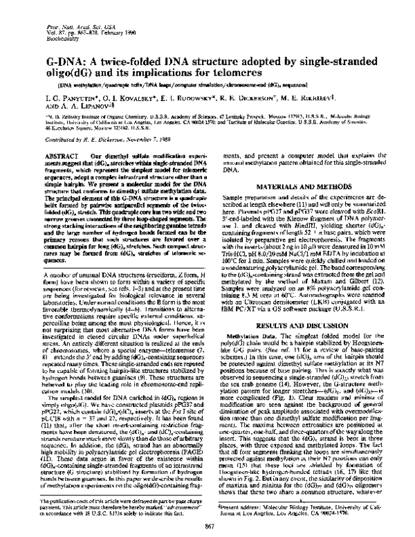 (PDF) G-DNA: a twice-folded DNA structure adopted by single-stranded ...
