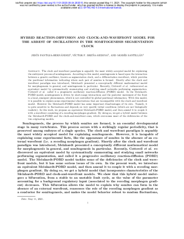 (PDF) Hybrid reaction-diffusion and clock-and-wavefront model for the ...