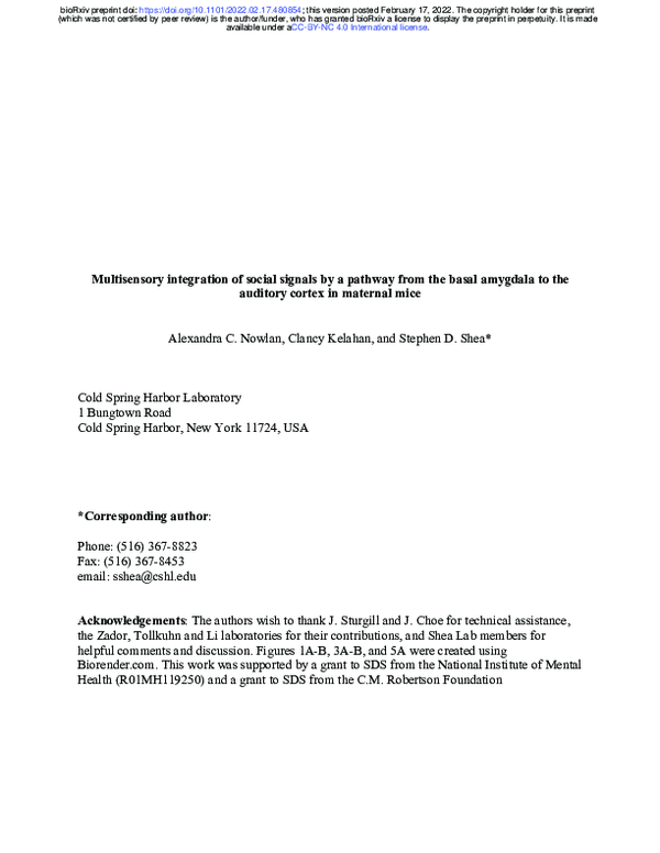 (PDF) Multisensory integration of social signals by a pathway from the ...