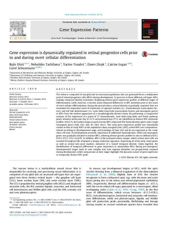 (PDF) Gene expression is dynamically regulated in retinal progenitor cells prior to and during ...