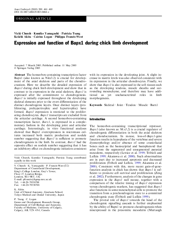 (PDF) Expression and function of Bapx1 during chick limb development