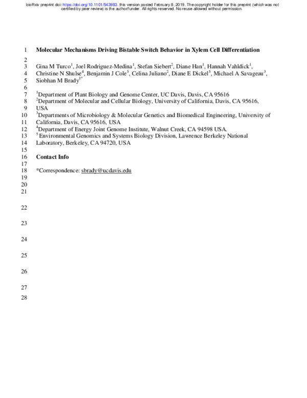 (PDF) Molecular Mechanisms Driving Bistable Switch Behavior in Xylem Cell Differentiation
