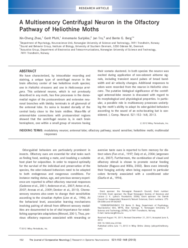 (PDF) A multisensory centrifugal neuron in the olfactory pathway of ...