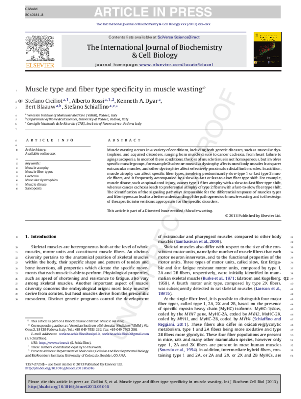 (PDF) Muscle type and fiber type specificity in muscle wasting