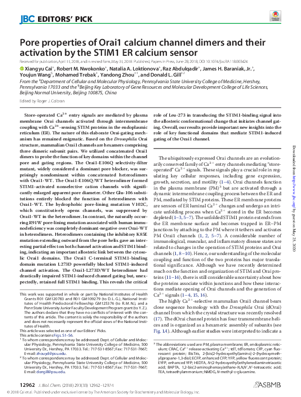 (PDF) Pore properties of Orai1 calcium channel dimers and their ...