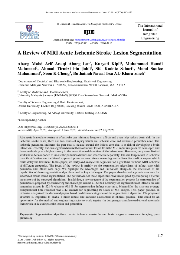 (PDF) A Review of MRI Acute Ischemic Stroke Lesion Segmentation