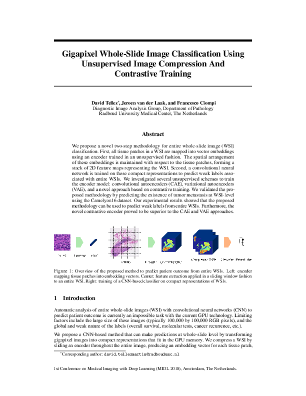 (PDF) Gigapixel Whole-Slide Image Classification Using Unsupervised Image Compression And ...