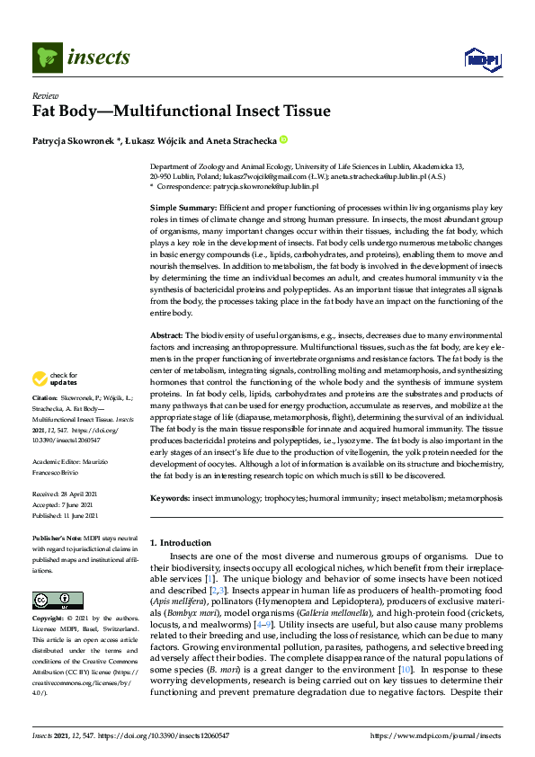 (PDF) Fat Body—Multifunctional Insect Tissue | Łukasz Wójcik - Academia.edu