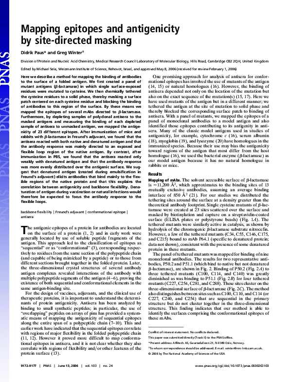 (PDF) Mapping epitopes and antigenicity by site-directed masking