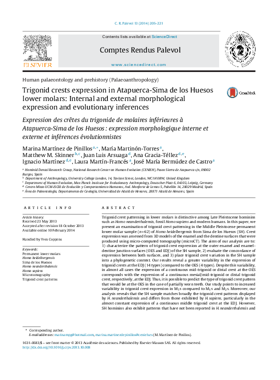 (PDF) Trigonid crests expression in Atapuerca-Sima de los Huesos lower ...