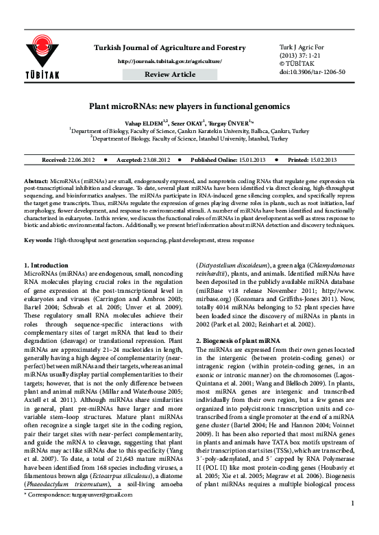 (PDF) The effect of stretcher type on safety and ease of treatment in ...