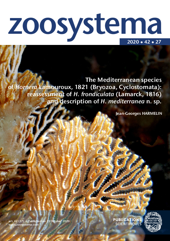 (PDF) The Mediterranean species of Hornera Lamouroux, 1821 (Bryozoa ...