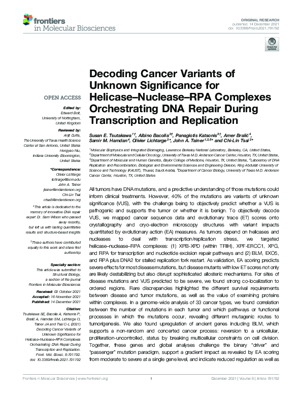 Decoding Cancer Variants of Unknown Significance for Helicase–Nuclease ...