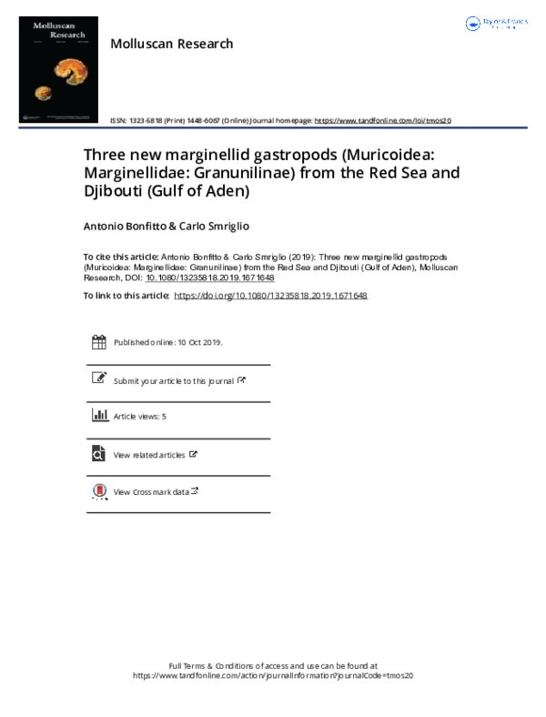 (PDF) Three new marginellid gastropods (Muricoidea: Marginellidae ...