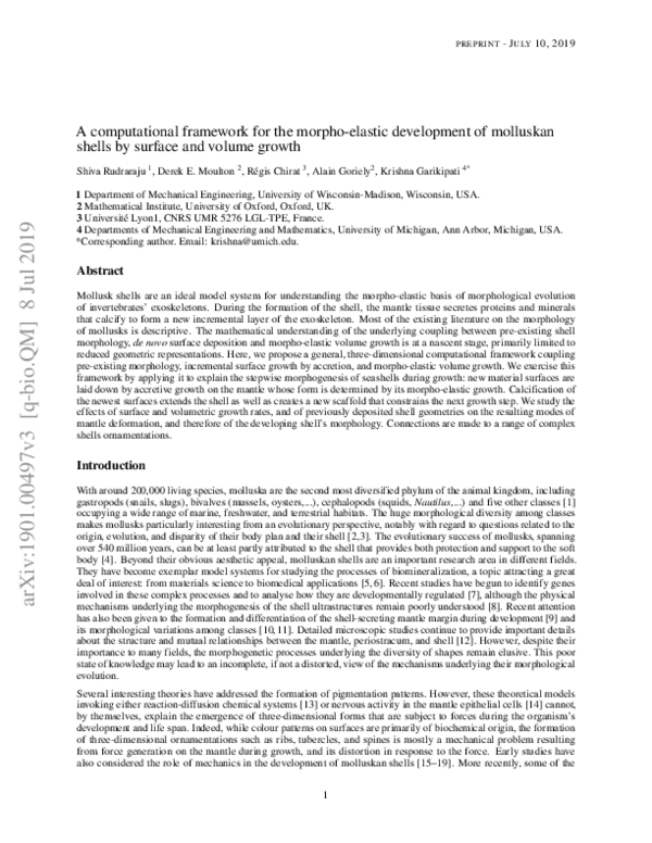 (PDF) A computational framework for the morpho-elastic development of molluskan shells by ...