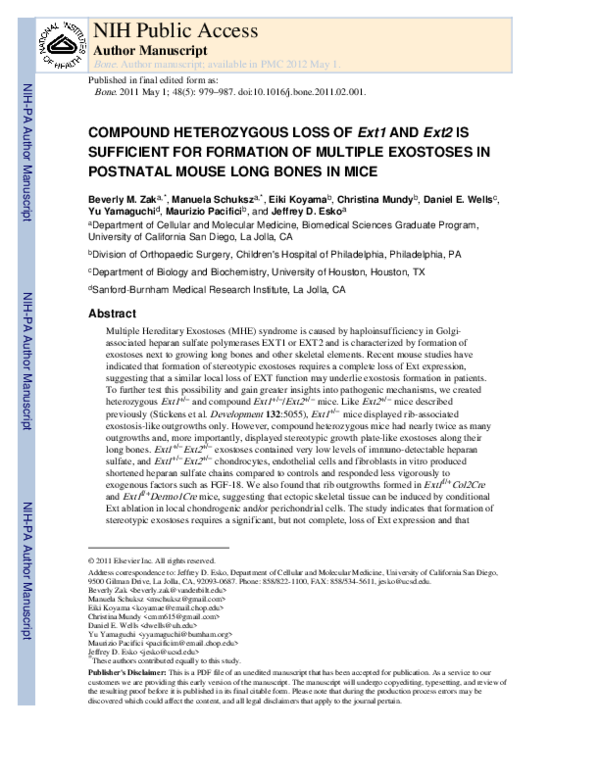 (PDF) Compound heterozygous loss of Ext1 and Ext2 is sufficient for ...