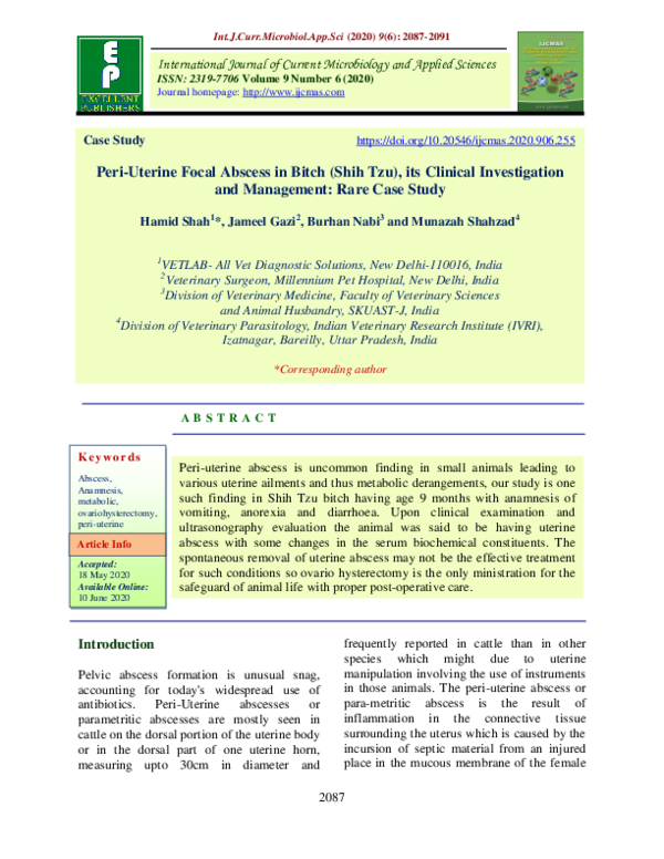 (PDF) Peri-Uterine Focal Abscess in Bitch (Shih Tzu), its Clinical Investigation and Management ...