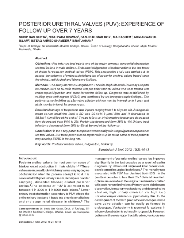 (PDF) Posterior Urethral Valves (PUV): Experience of Follow up Over 7 years