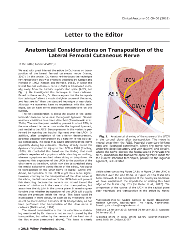 (PDF) Anatomical considerations on transposition of the lateral femoral ...