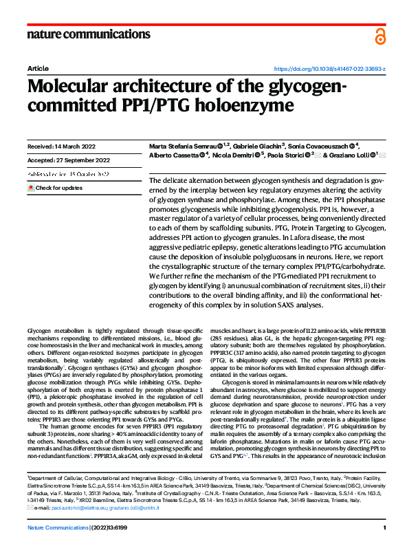 (PDF) Molecular architecture of the glycogen- committed PP1/PTG ...