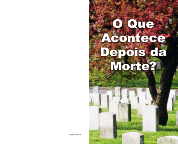 Pdf Boa Nova O Que Acontece Depois Da Morte