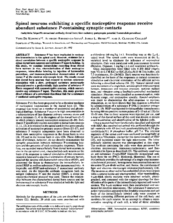 (PDF) Spinal neurons exhibiting a specific nociceptive response receive ...