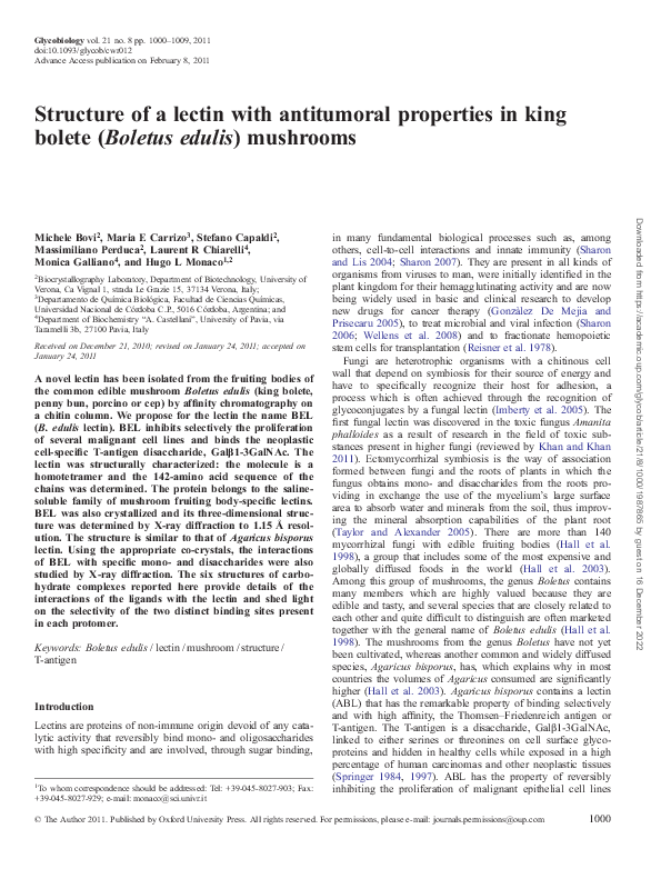 (PDF) Structure of a lectin with antitumoral properties in king bolete ...