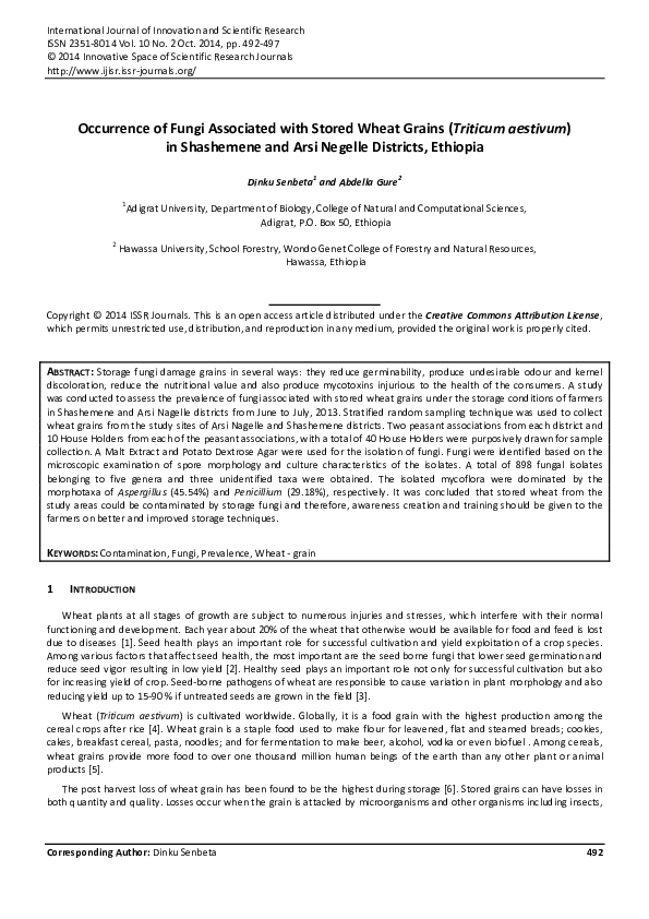 (PDF) Occurrence of Fungi Associated with Stored Wheat Grains (Triticum ...