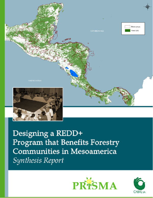 (PDF) Designing a REDD+ Program that Benefits Forestry Communities in ...