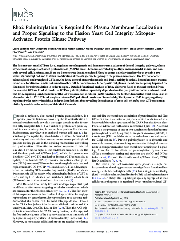 (PDF) Rho2 Palmitoylation Is Required for Plasma Membrane Localization ...